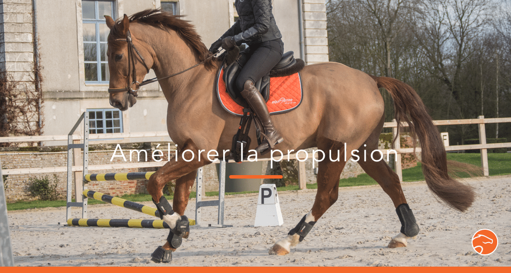 How do you work on your horse’s extended trot ? - SPORT VIP